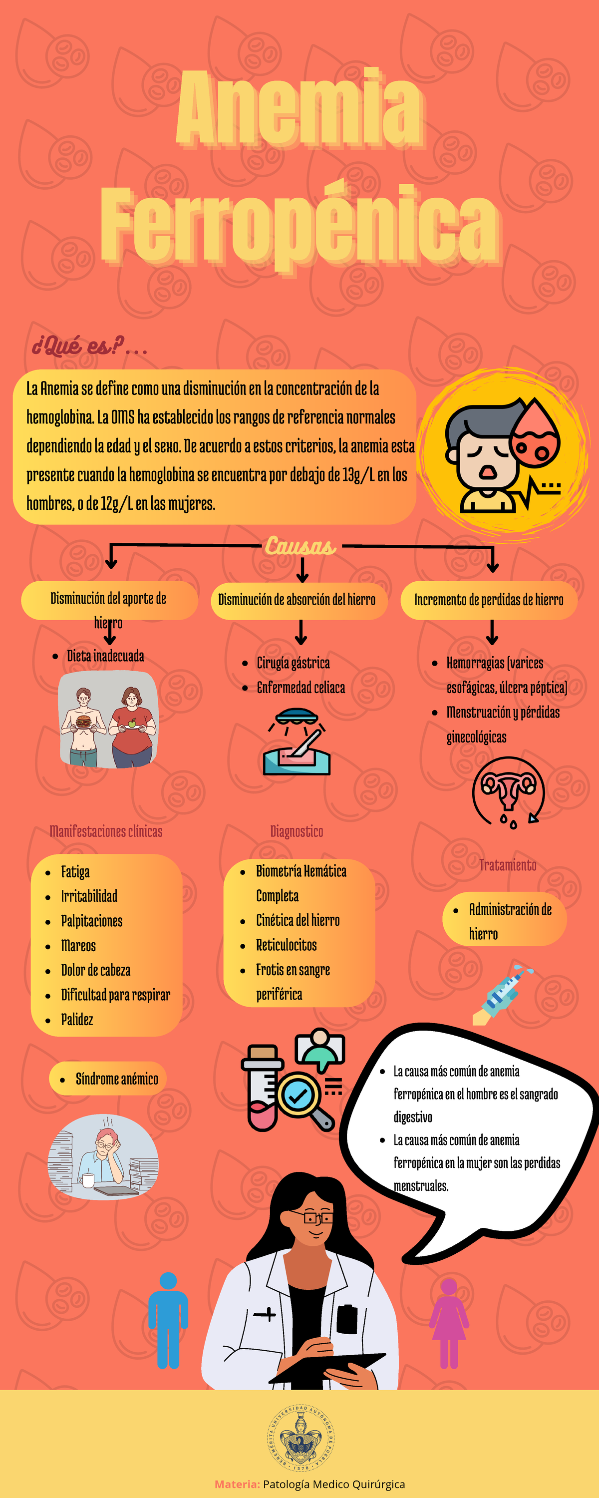 Anemia Ferropénica - Causas Anemia Anemia Anemia Ferropénica ...