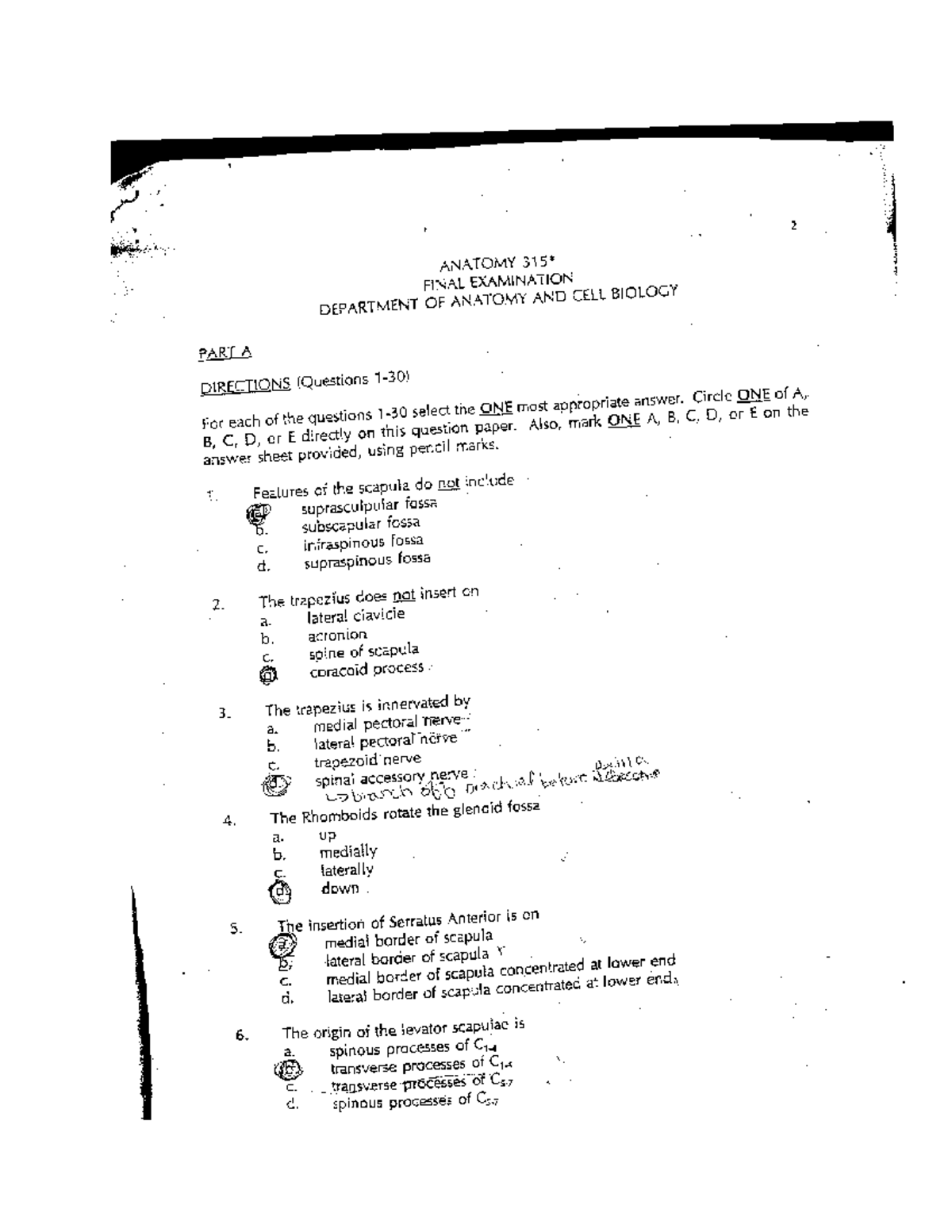 Anatomy Final Exam Questions and Answers - Anat 315 - Studocu