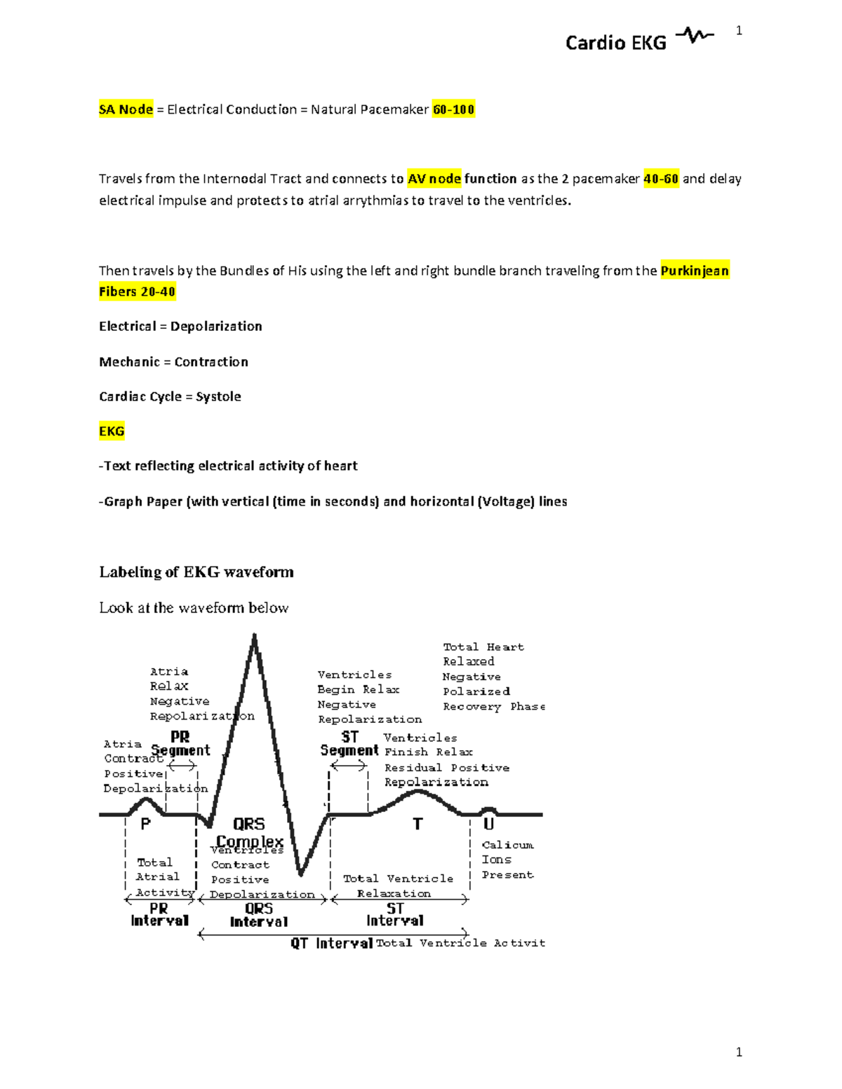 Cardio EKG: SA Node Electrical Conduction Rhythms Intervals and ...