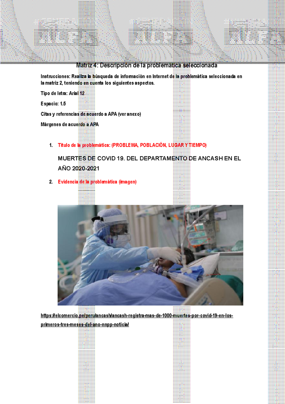 Matriz 4 - DescripcióN DE LA ProblemáTICA Y Caracteristicas ejemplo - Matriz 4: Descripción de ...