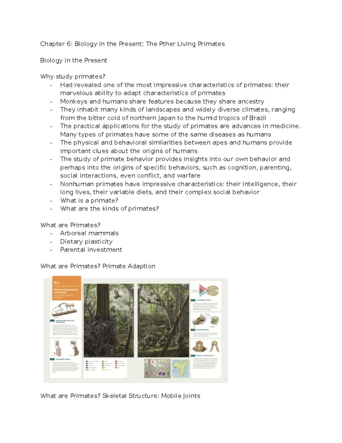 Chapter 6 Living Primates Chapter 6 Biology In The Present The Pther Living Primates