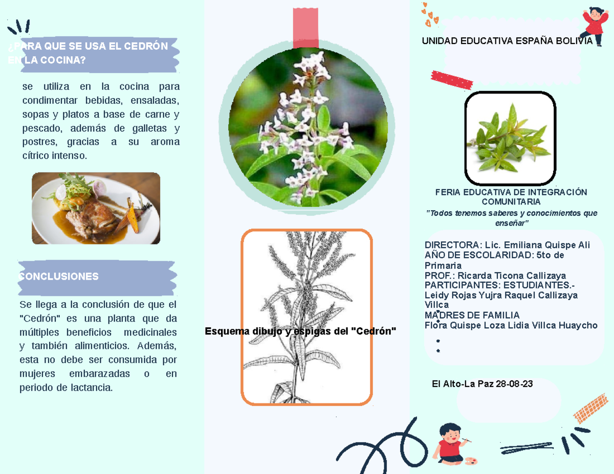 Triptico cedron (2) (1) - FERIA EDUCATIVA DE INTEGRACIÓN COMUNITARIA "Todos tenemos saberes y ...