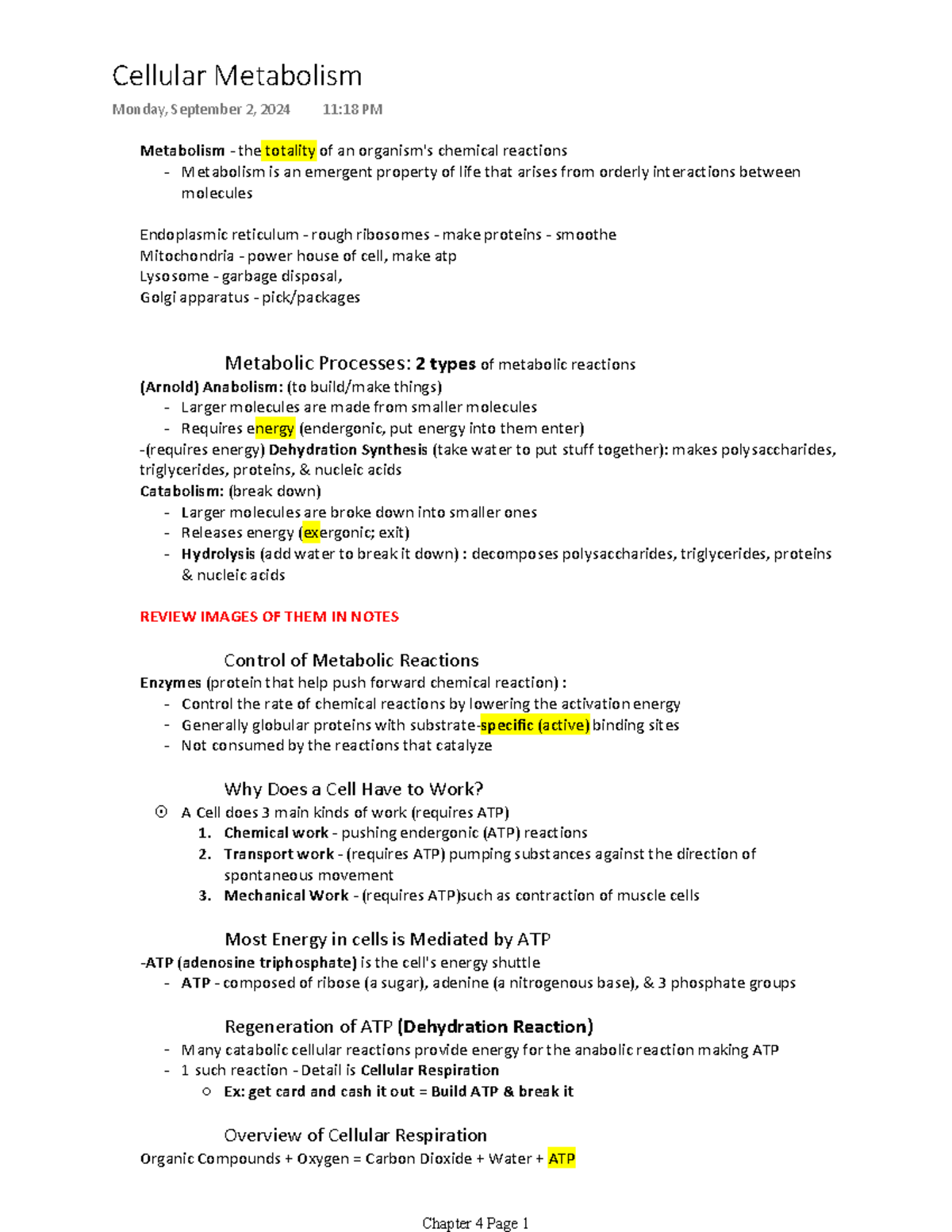 Chapter 4 Ant Phy Notes - Metabolism - the totality of an organism's ...