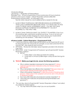 IB LAB 06 Enzymes - Lab activity - Introductory Biology Lab Activity #6 ...