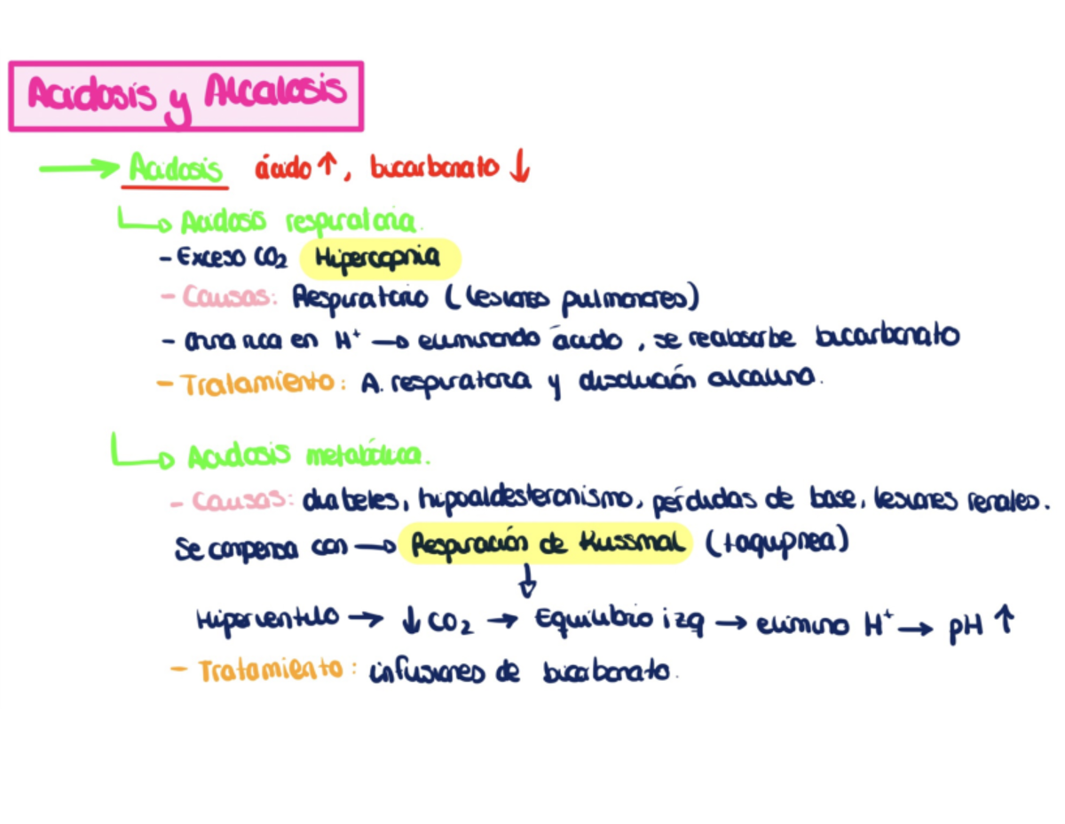 Esquema Alcalosis Y Acidosis - Bioquímica General - Studocu