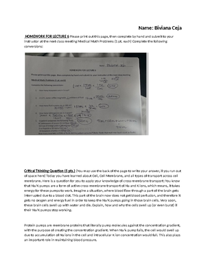 Lecture 5 homework - Lecture 5 Homework Critical Thinking Here is a ...