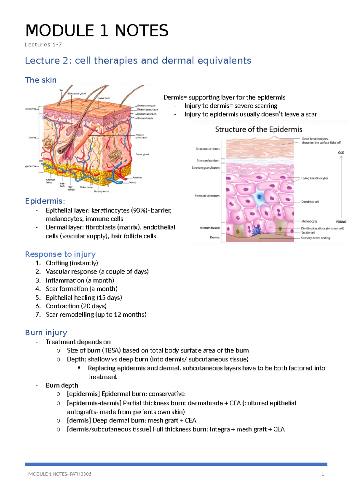 Module 1 notes - MODULE 1 NOTES Lectures 1- Lecture 2: cell therapies ...