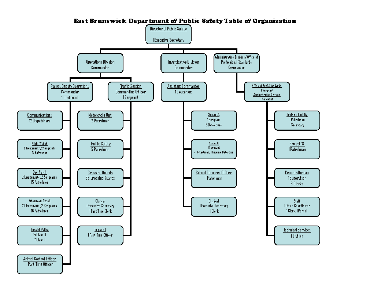 Sample organization chart - East Brunswick Department of Public Safety ...