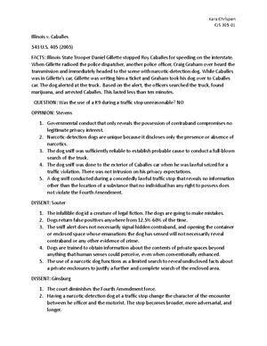 Graham v Connor - Case Brief - Kara Chrispen CJS 305- Graham v. Connor ...