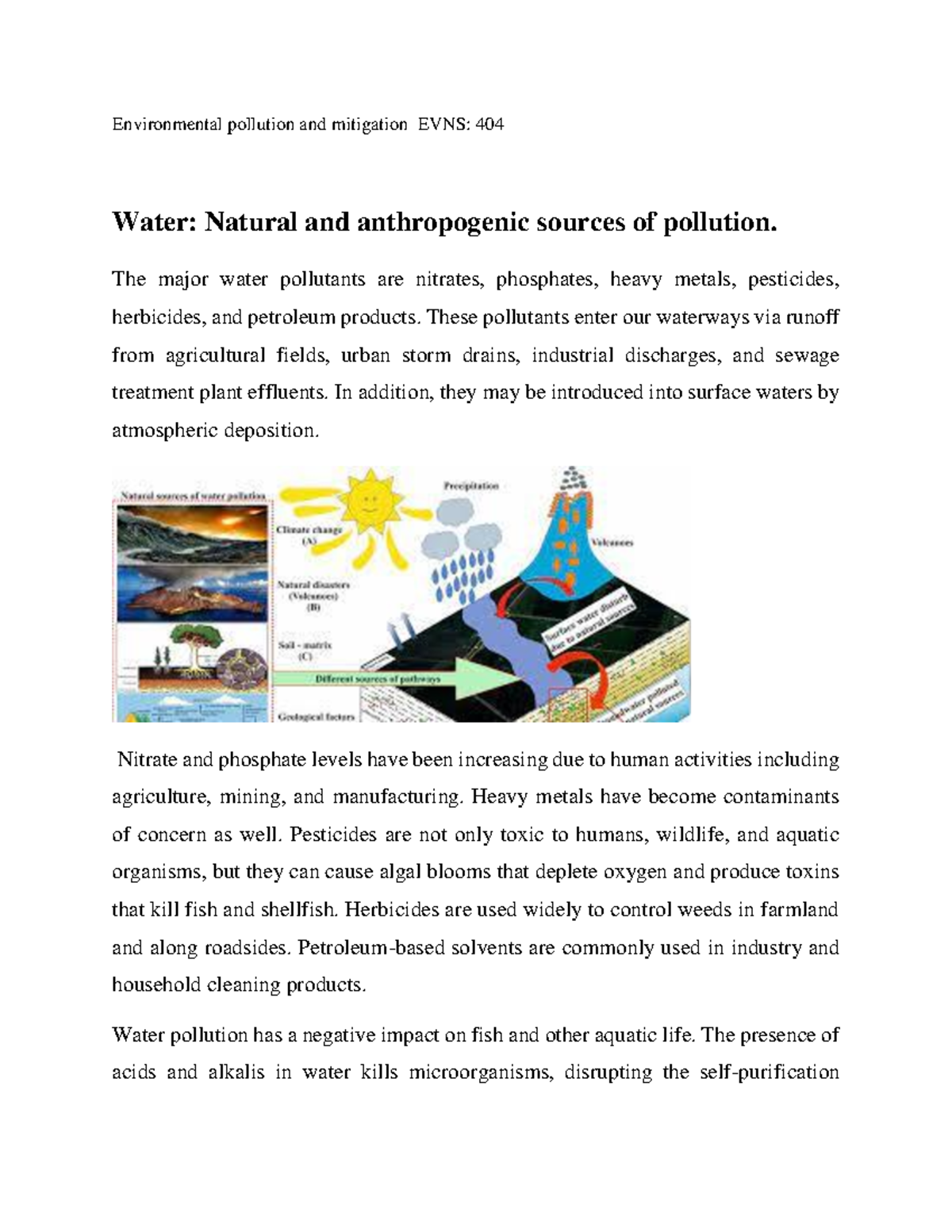 Water pollution and its sources - Environmental pollution and ...