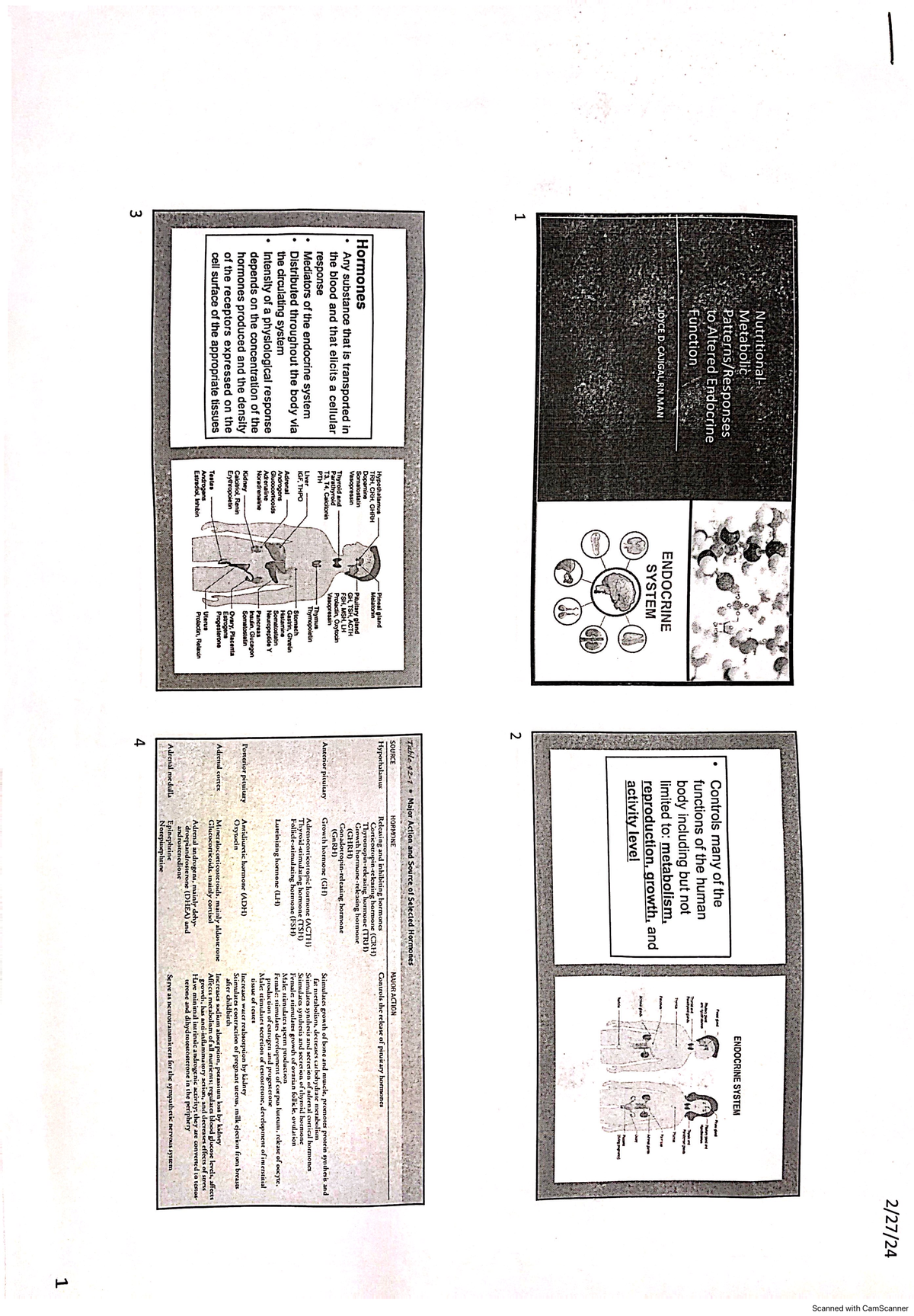 Nutritional Metabolic Patterns Responses to Altered Endocrine Function ...