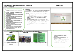 Grade 11 Tourism Airports, Airlines AND Airport Operations - AIRPORTS ...