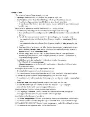 Animal Cell Model Lab - Make a 3D model of the cell using household ...