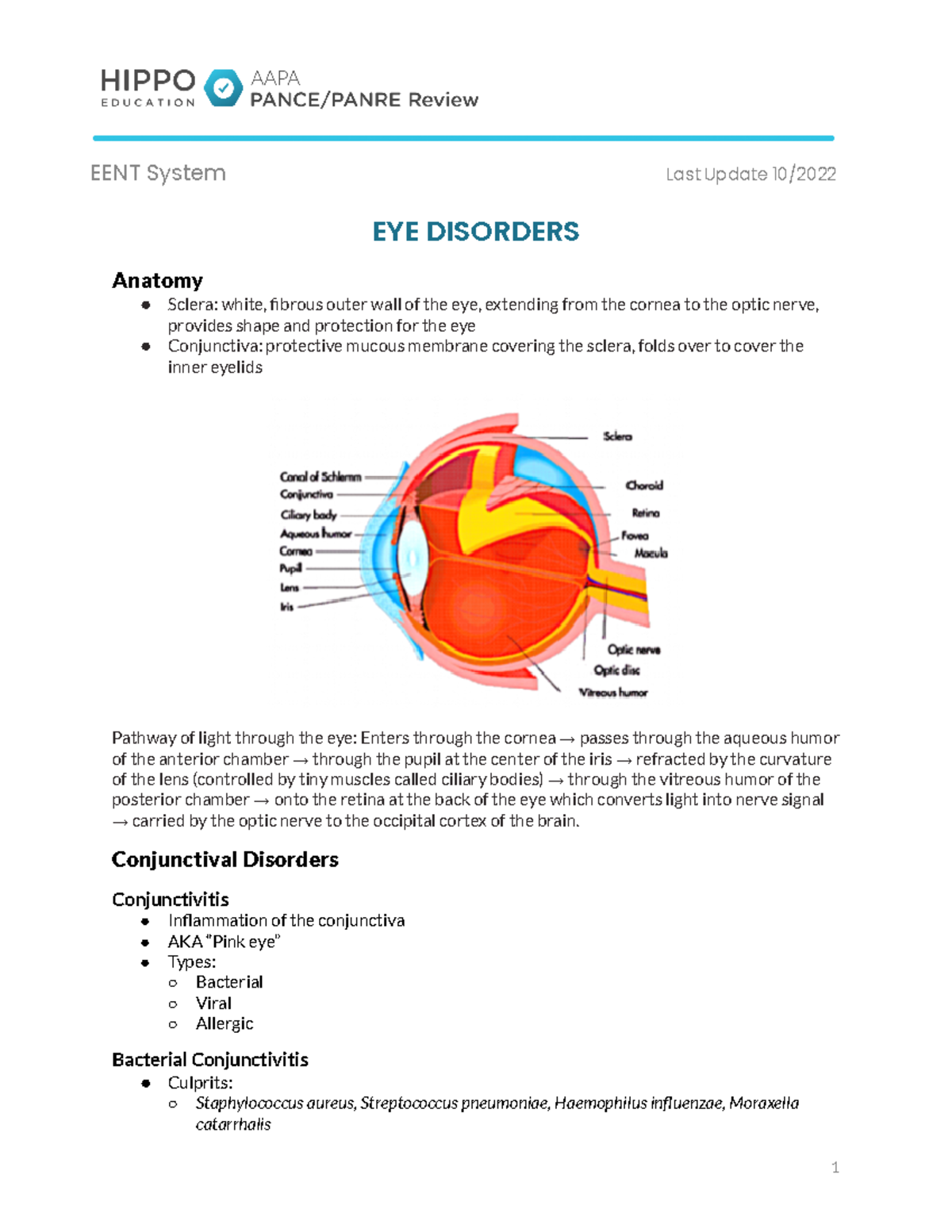 EENT System Hippo AAPA - EENT outline of conditions - EENT System Last ...