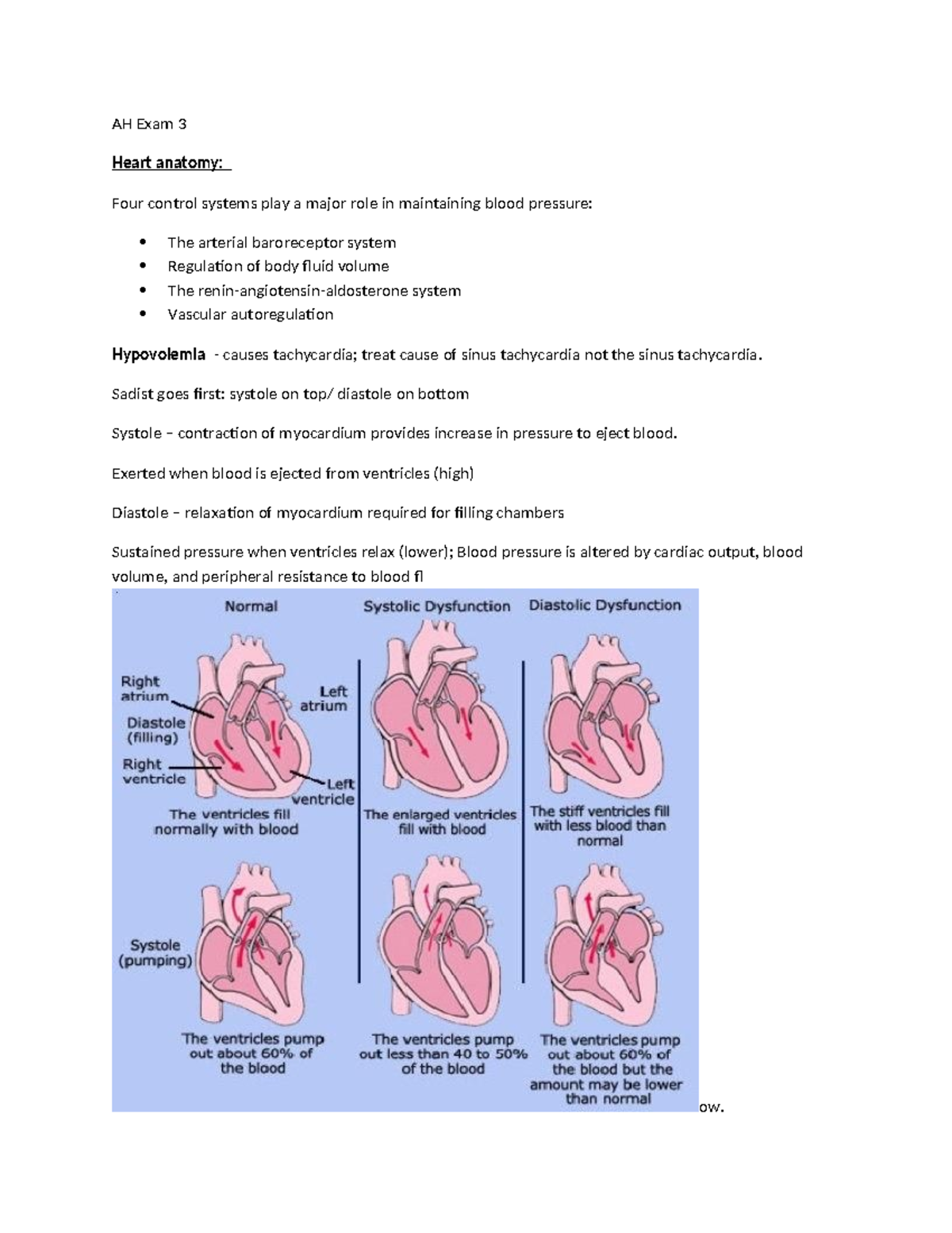 AH Cardiac - information for nursing - AH Exam 3 Heart anatomy: Four ...