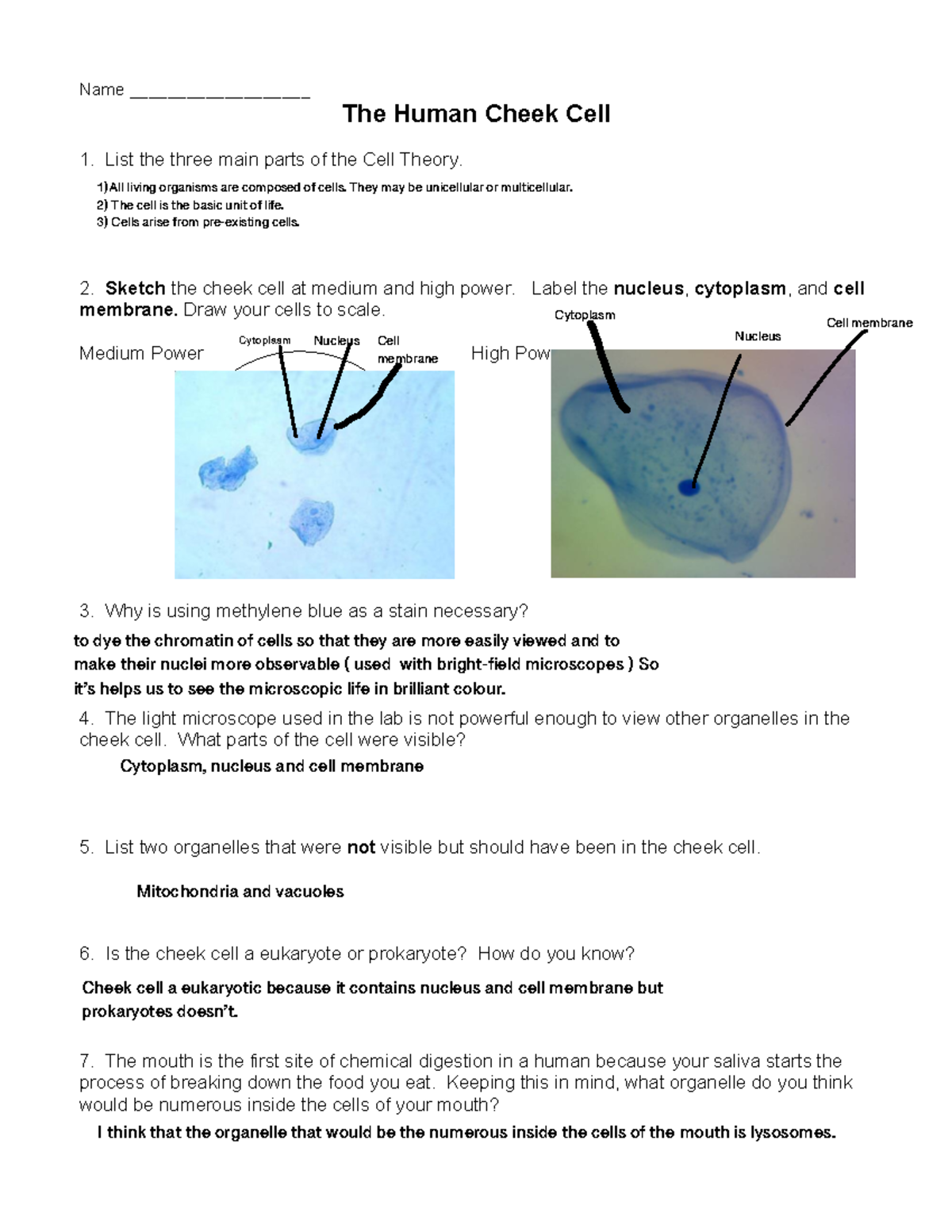 Lesson 7 Science Academic Grade 10 - Name ___________________ The Human ...