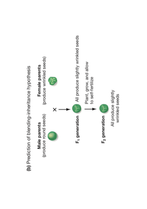 Practica- mas mandatos formales e informales - Nombre: - Studocu