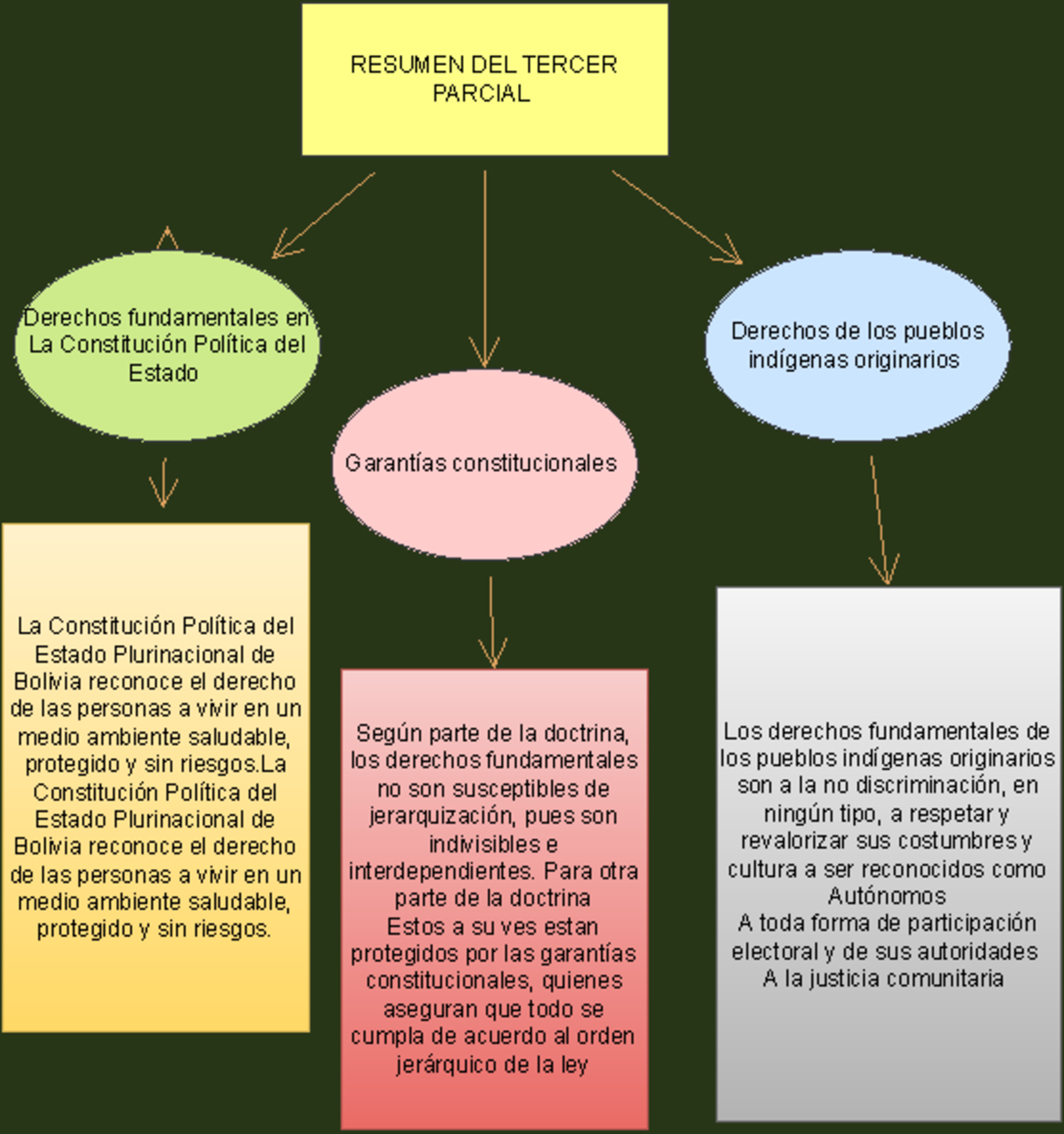 Untitled Diagram.drawio - RESUMEN DEL TERCER PARCIAL Derechos ...