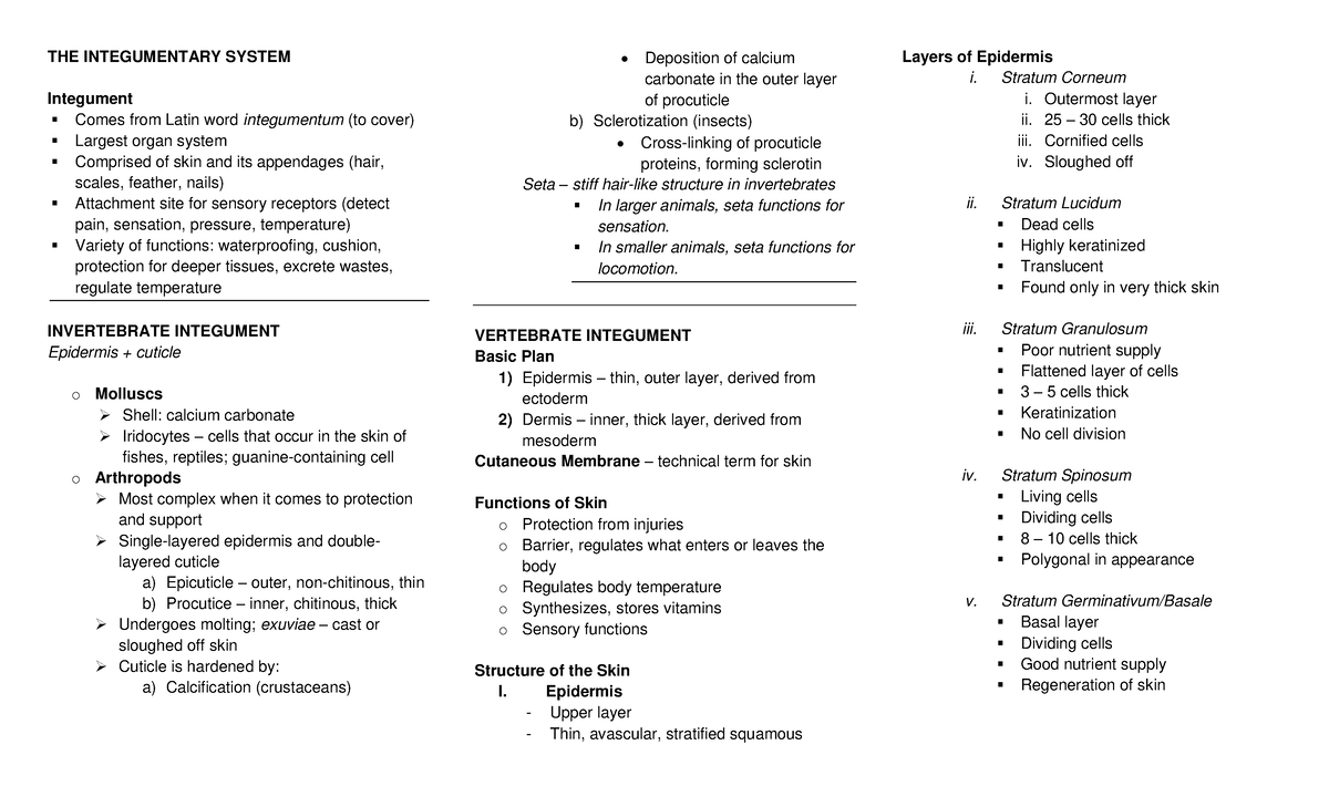 THE Integumentary System - THE INTEGUMENTARY SYSTEM Integument Comes ...