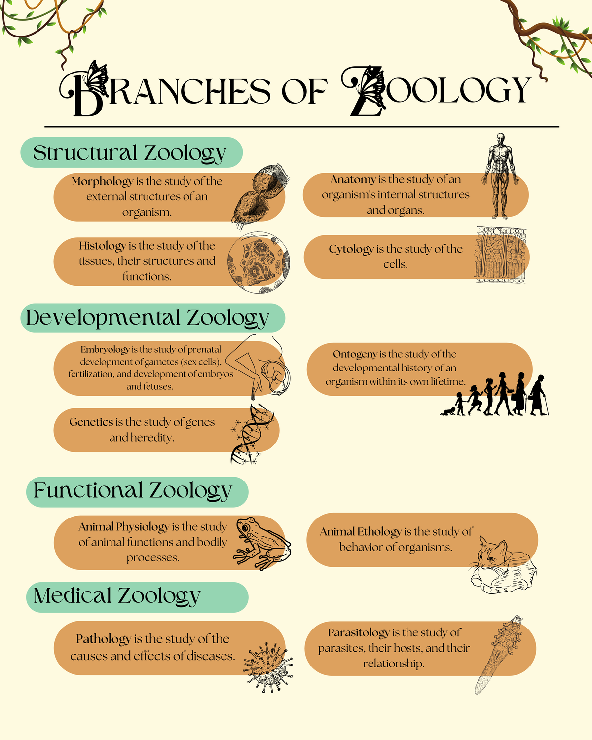 Science of Zoology - Histology is the study of the tissues, their ...