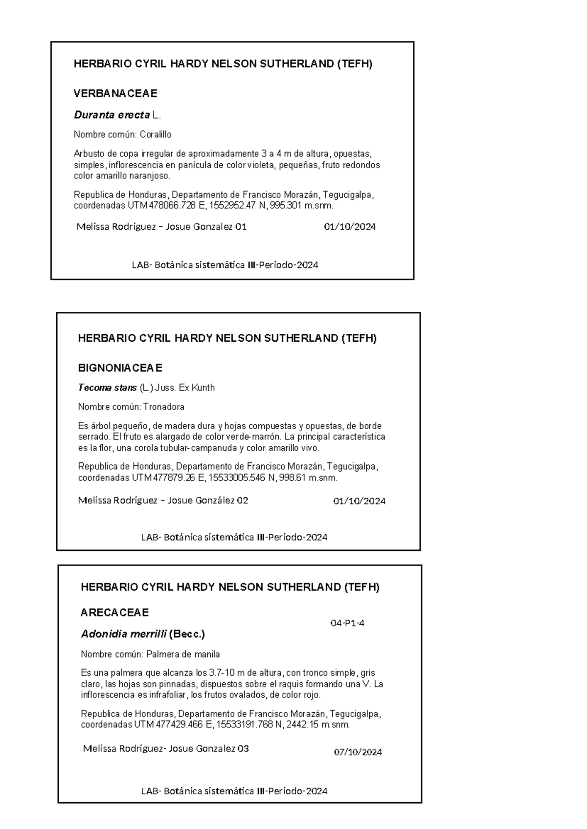 Fichas - mcnj;jhgkjncjdjdsjfohnmduweiu - HERBARIO CYRIL HARDY NELSON ...