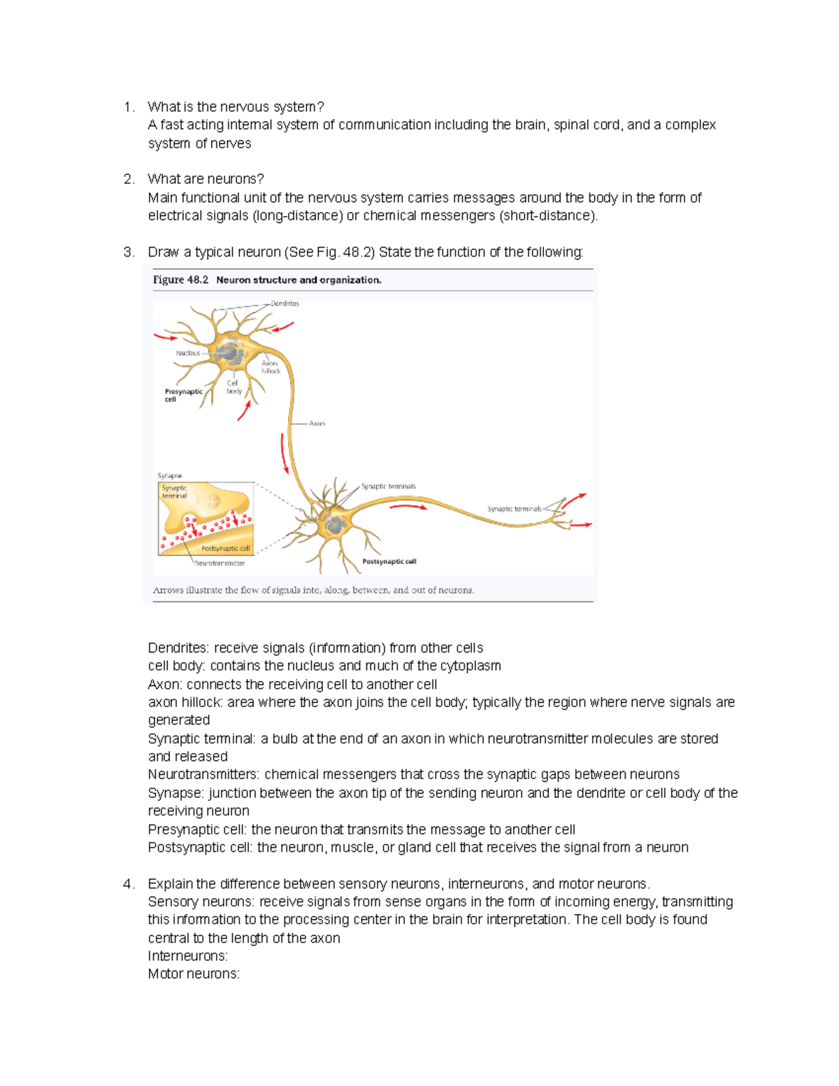 Bio 1002: Neurons and the Nervous System - What is the nervous system ...