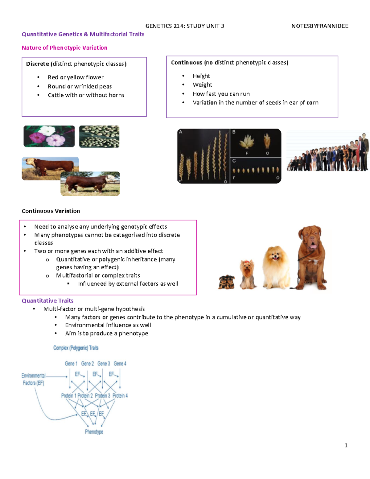 Unit 3 Quantitative Genetics & Multifactorial Traits - Quantitative ...