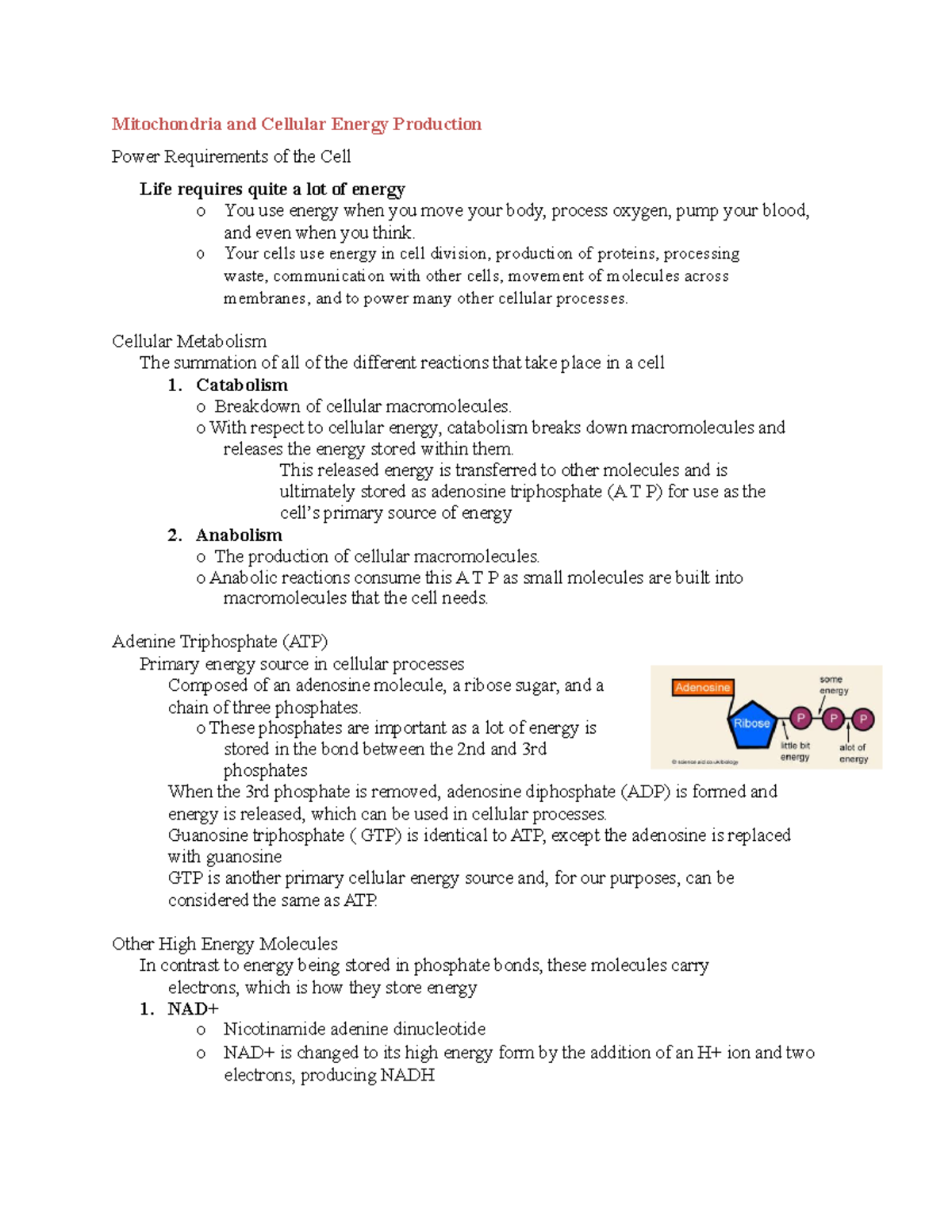 Mitochondria and Cellular Energy Production - o Your cells use energy ...