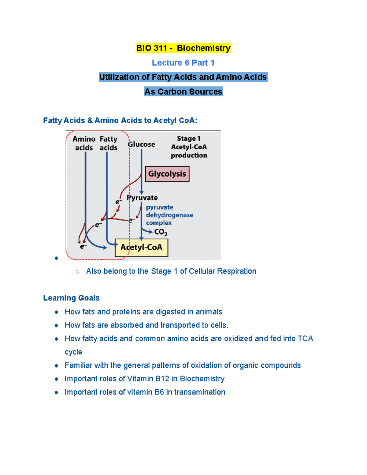 BIO 311 Lecture 6 Part 1 Fall 2020 - BIO 311 - Biochemistry Lecture 6 Part 1 Utilization of ...