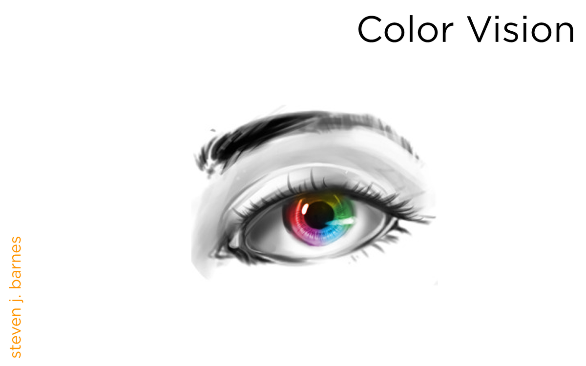 Color Vision Final - Color Vision steven j. barnes Explain the ...