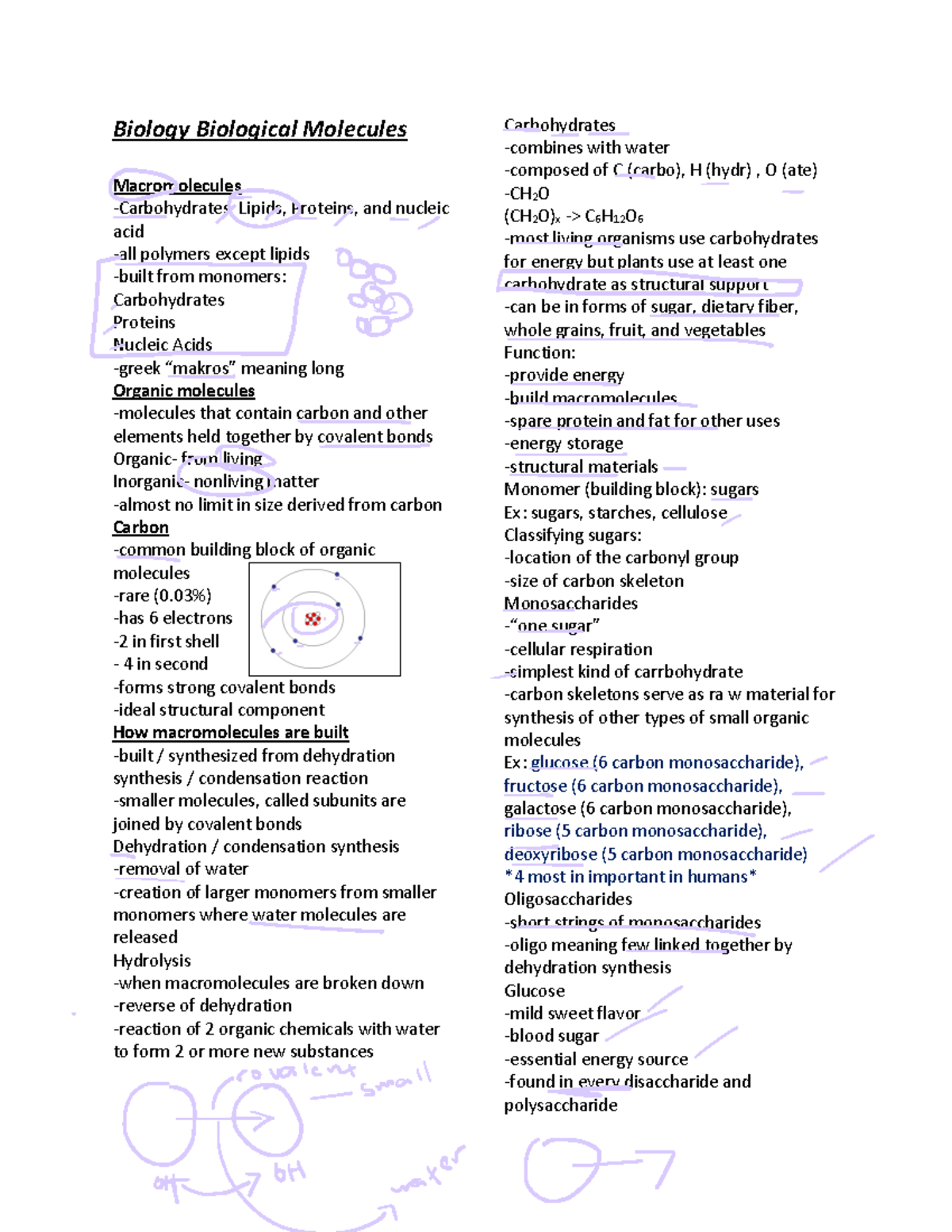 Biology Biological Molecules - Biology Biological Molecules ...