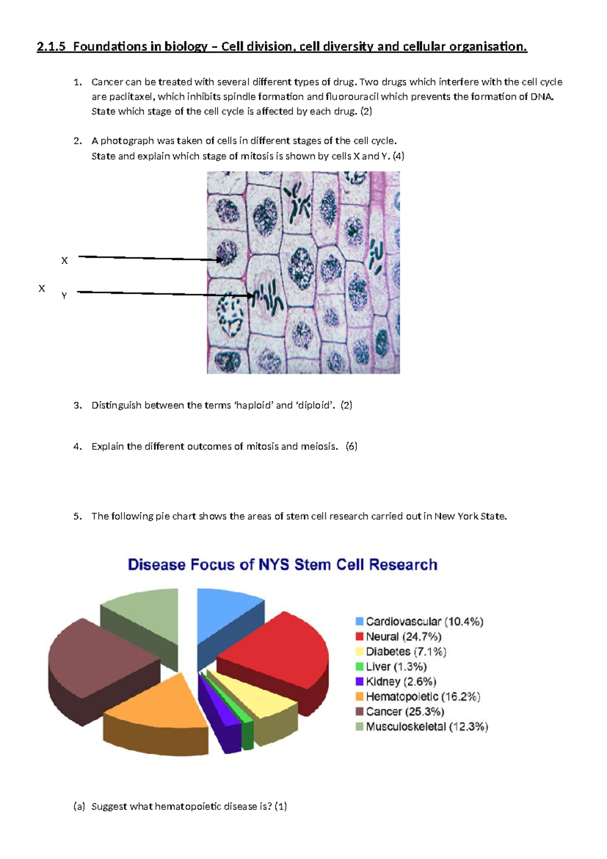 Cell division Grasp it questions - 2.1 Foundations in biology – Cell ...