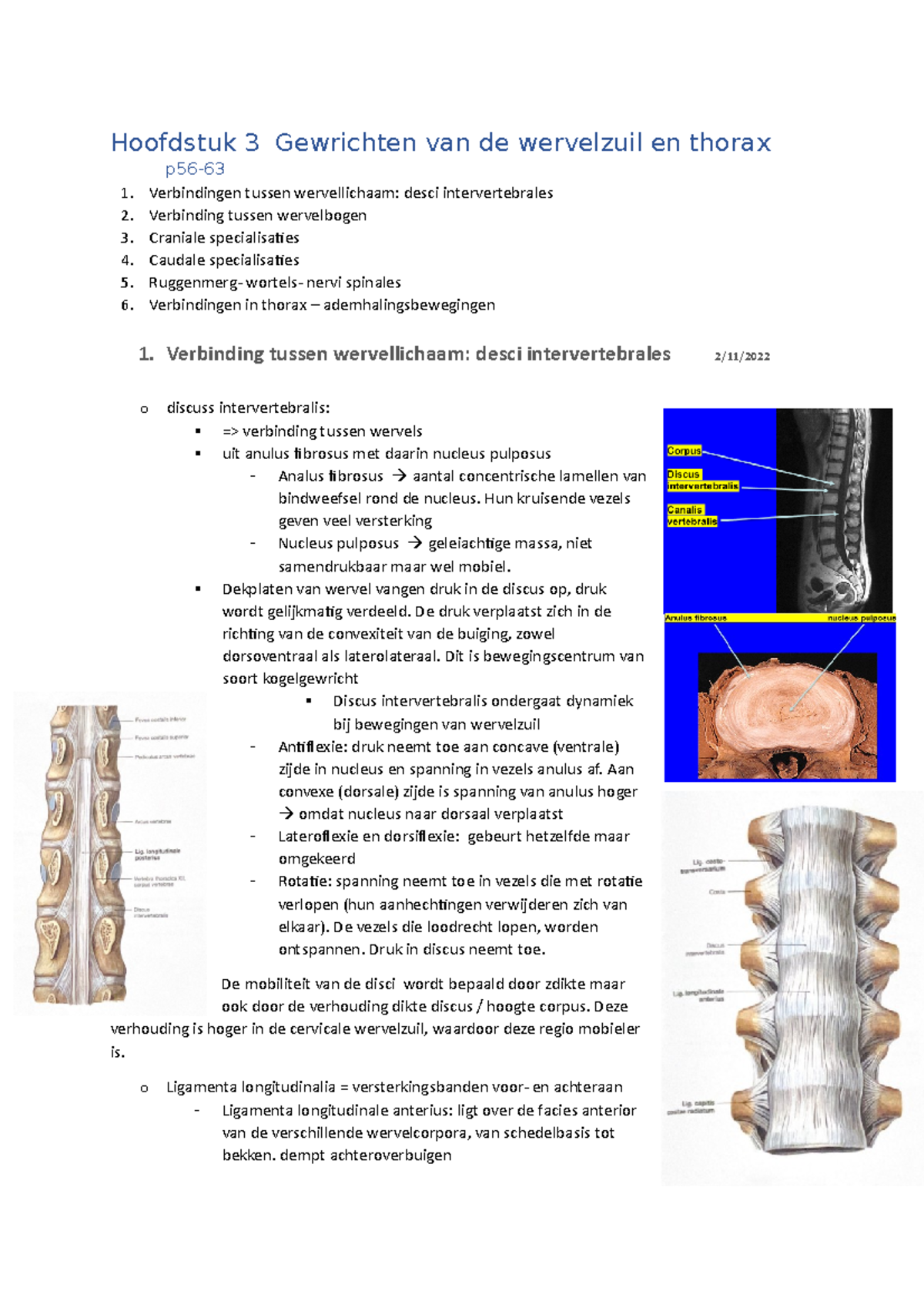 Hoofdstuk 3 Gewrichten van de wervelzuil en thorax - Verbinding tussen ...