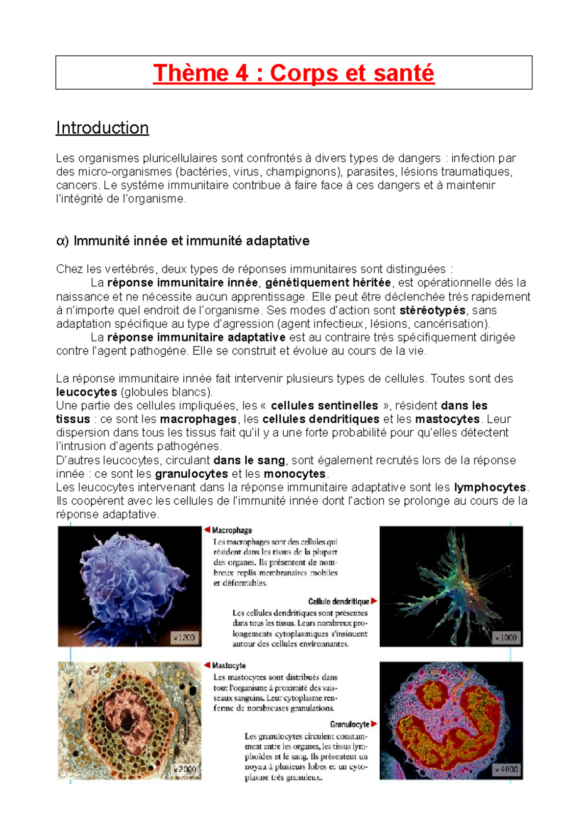 Cours th-4 chp-2 immunité-innée - Thème 4 : Corps et santé Introduction Les organismes - Studocu