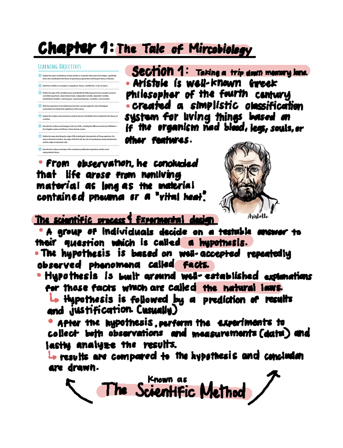 Chapter 1 - Microbiology notes :)) - Chapter 1 the Tale of Mircobiology ...