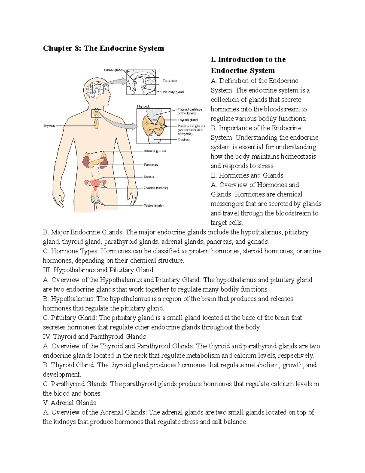 Chapter 8 endocrine system - Chapter 8: The Endocrine System I ...