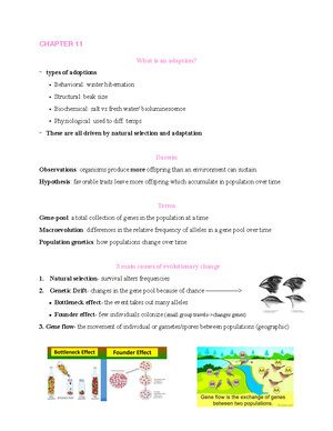 Chapter 6: Biology - Pictures included. Information and terms on ...