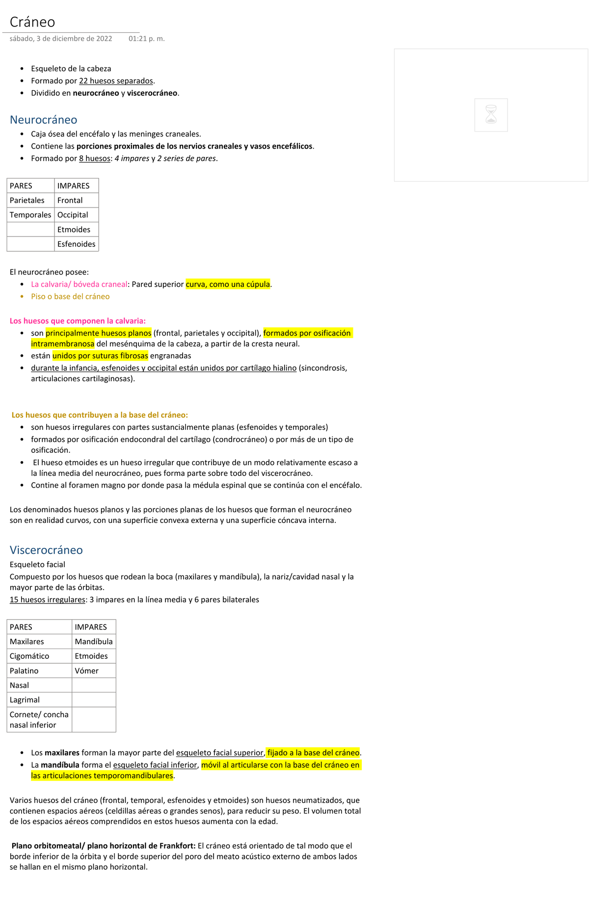 Cráneo Anatomia Del Craneo Anatomía Studocu