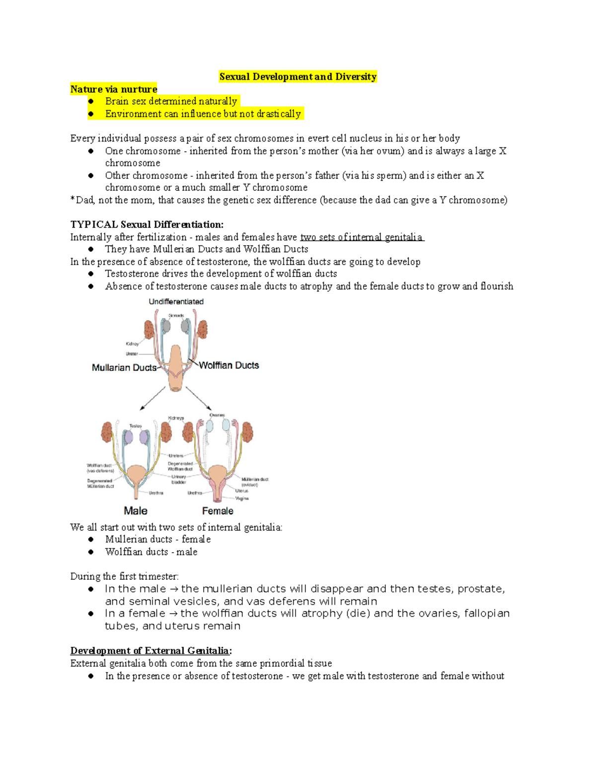 Unit 1 Lecture 7 Sexual Development and Diversity - Sexual Development ...