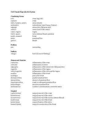 Ch - Word parts suffix prefix - Ch 7 Male Reproductive System Combining ...