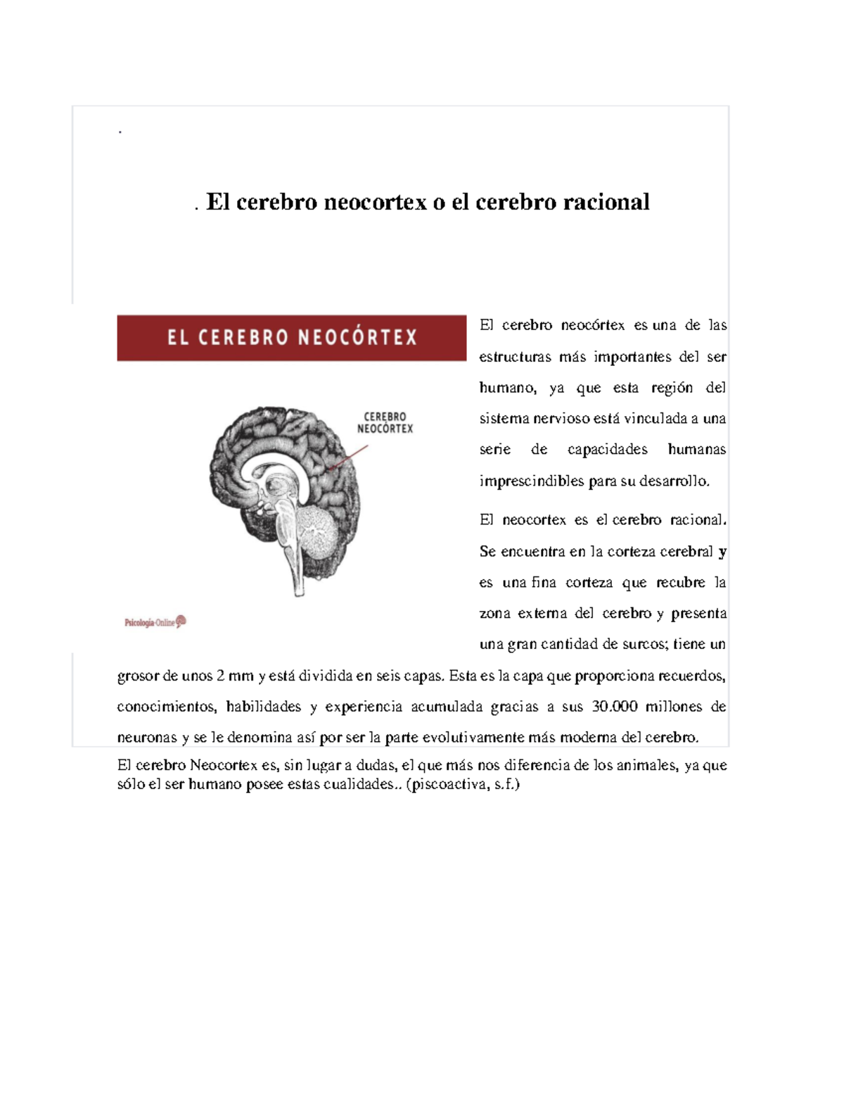 El cerebro neocortex y sus funciones - . . El cerebro neocortex o el cerebro racional El cerebro ...
