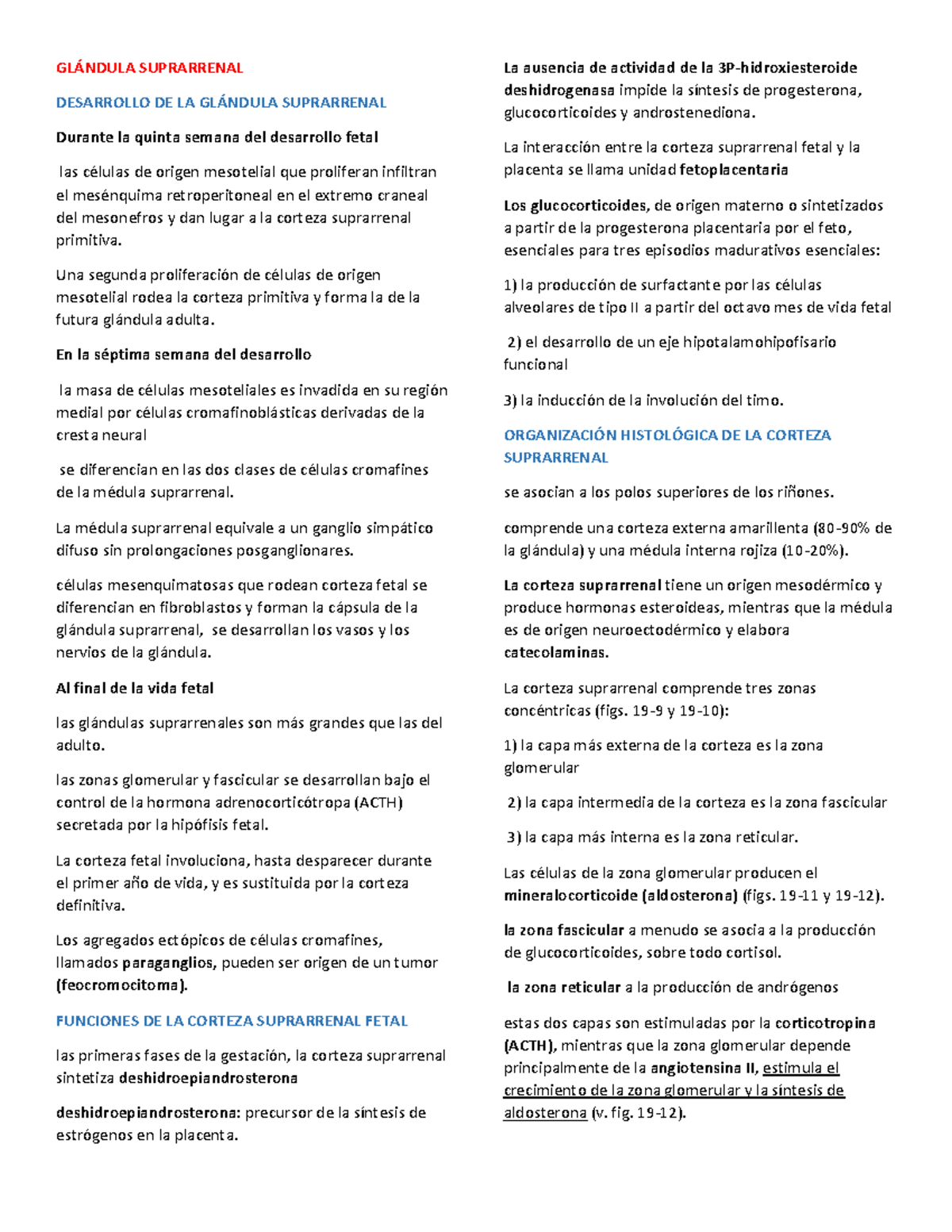 Glándula Suprarrenal kirsen - GLÁNDULA SUPRARRENAL DESARROLLO DE LA ...