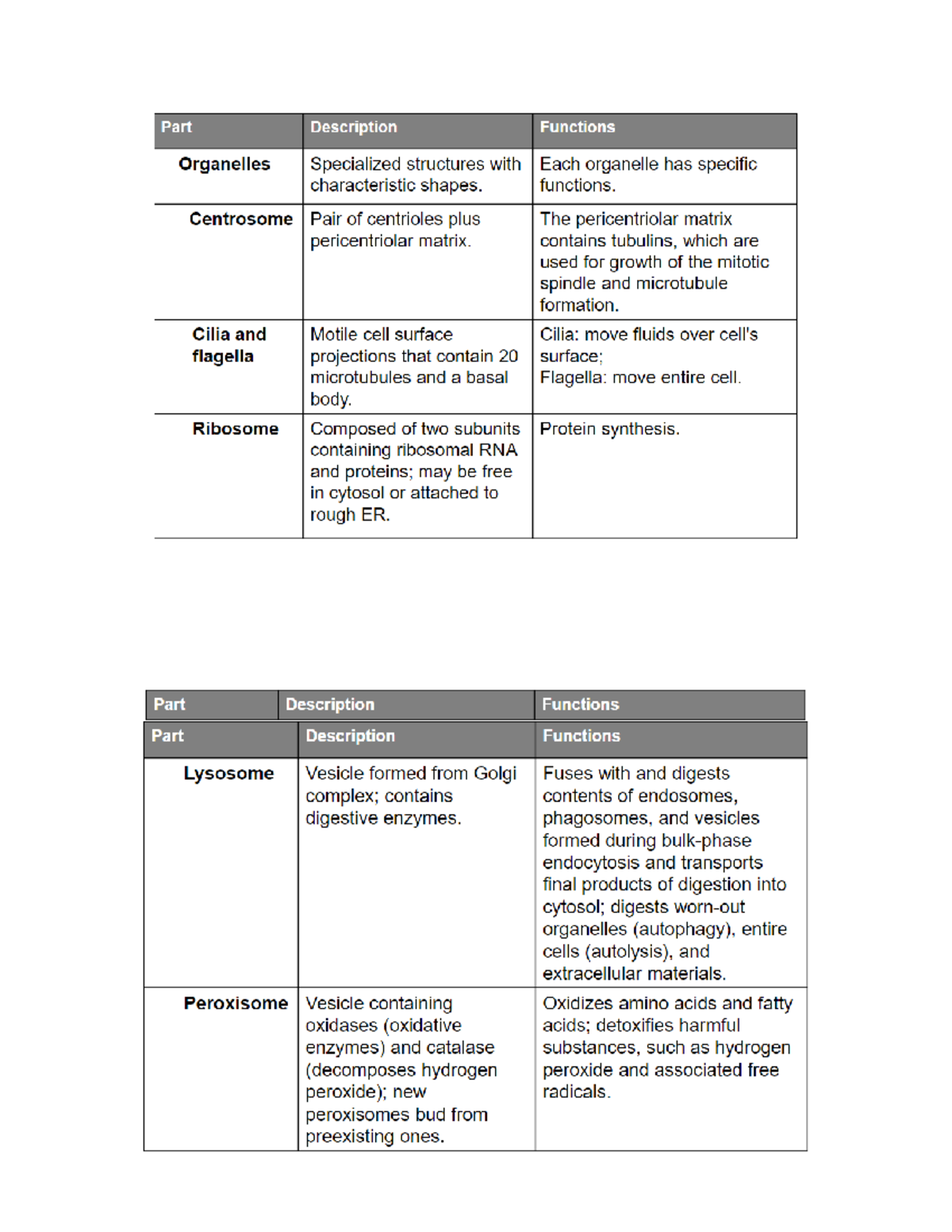 Parts of the Cell - Summary Anatomy and Physiology I - 11 63 175 - Studocu