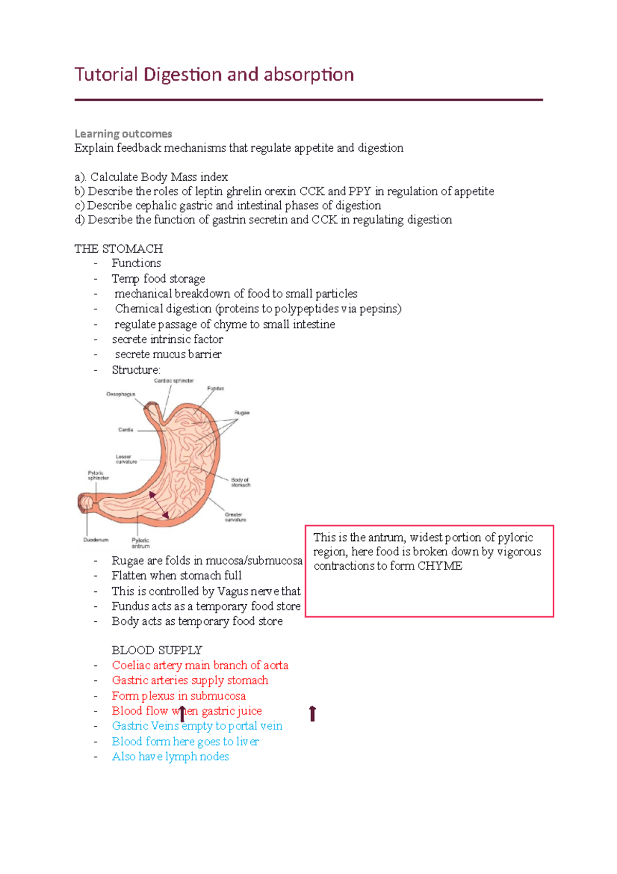 Extra Tutorial Digestion and absorption - Tutorial Digestion and ...