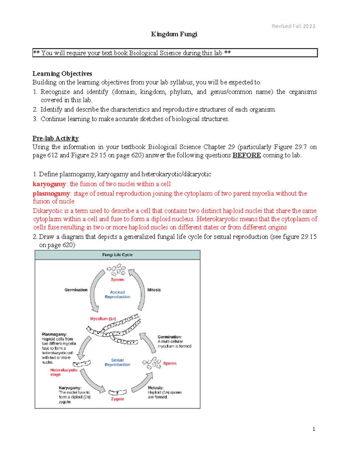 1108 Lab Kingdom Fungi S22 - Kingdom Fungi ** You will require your ...