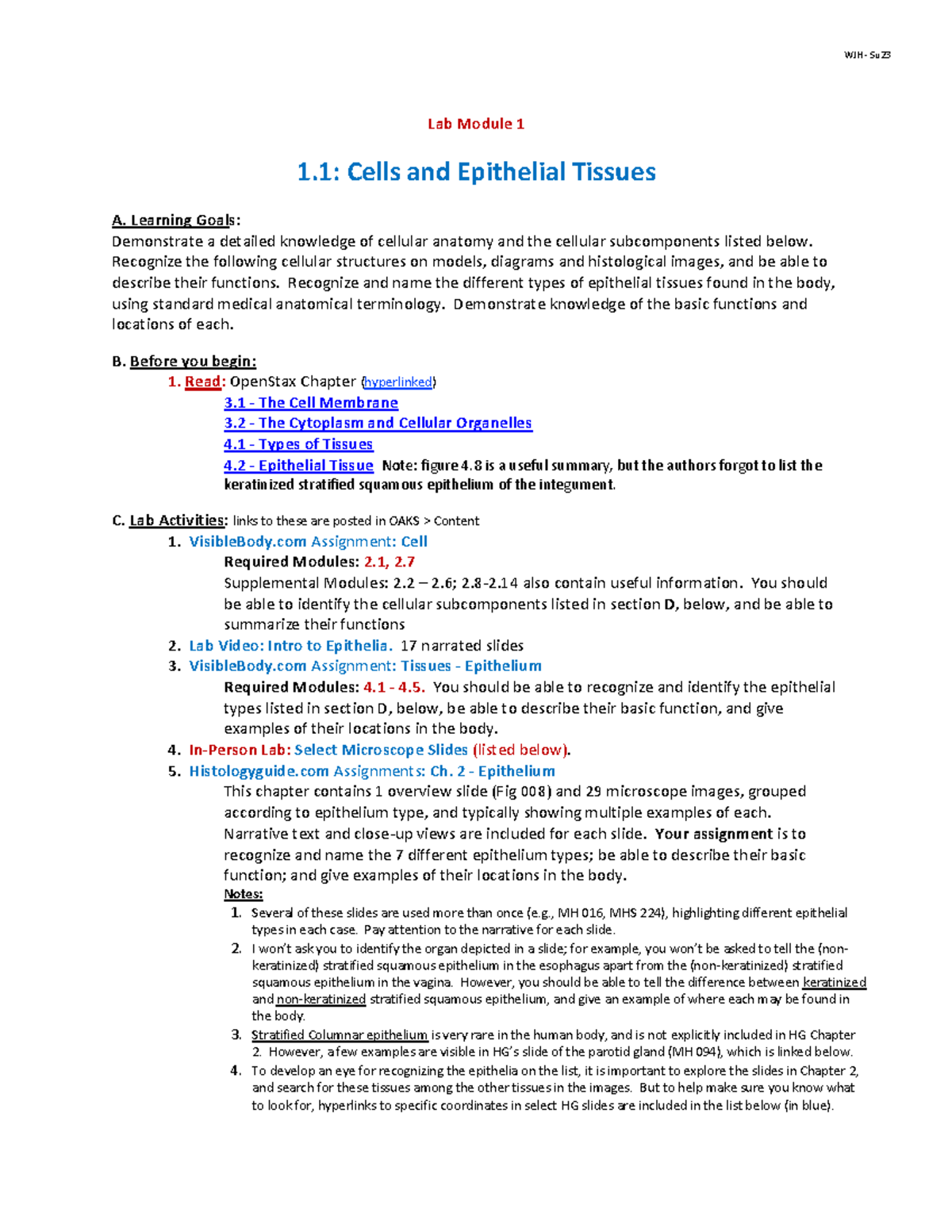 1.1 Cell Epithelium Assignment Guide - BIOL 211 - CofC - Studocu