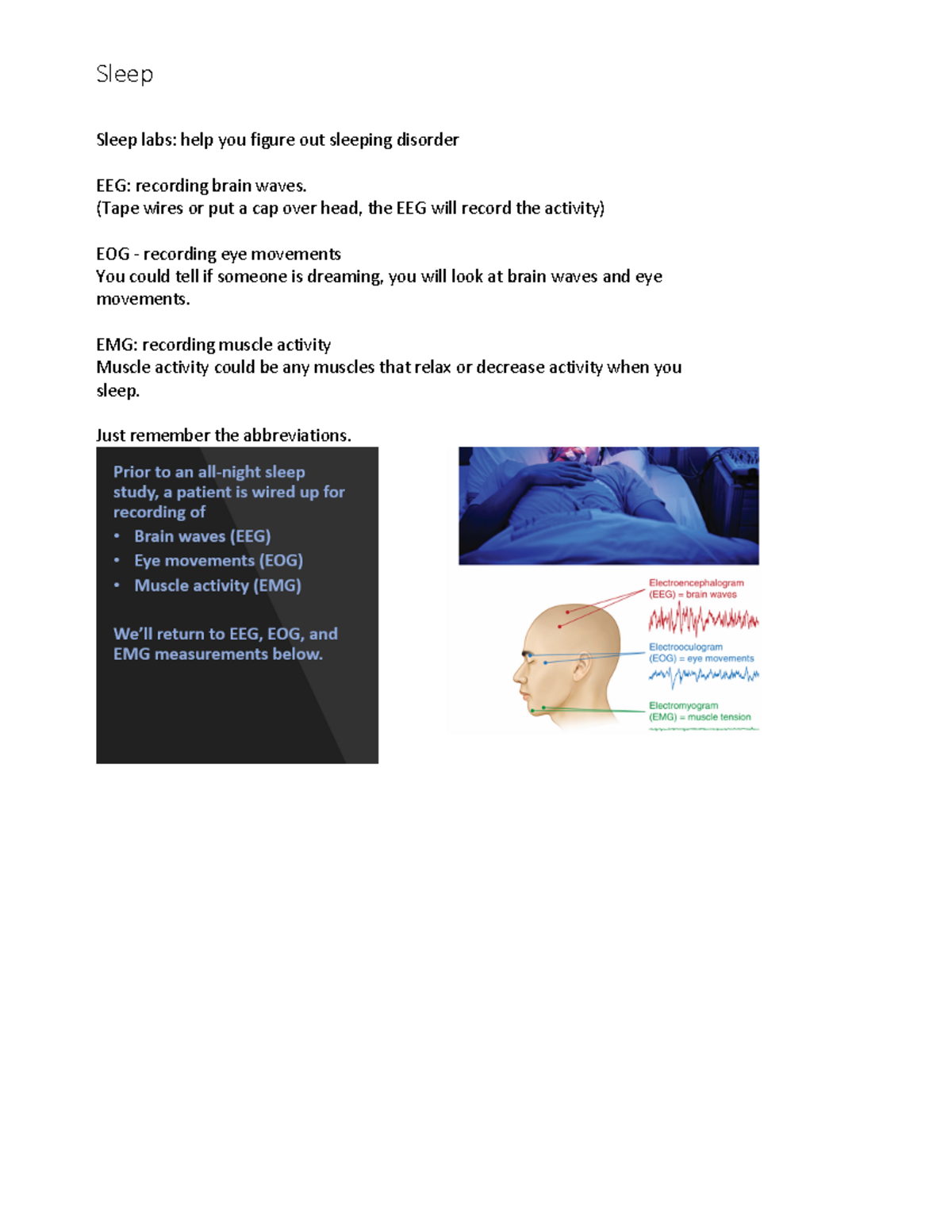 Sleep, REM, Brain Waves, Muscle, Eye Movements - Sleep labs: help you ...
