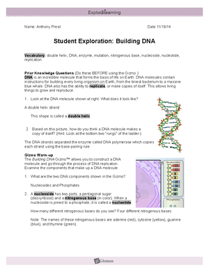 Mutations and Selection Gizmos - Studocu