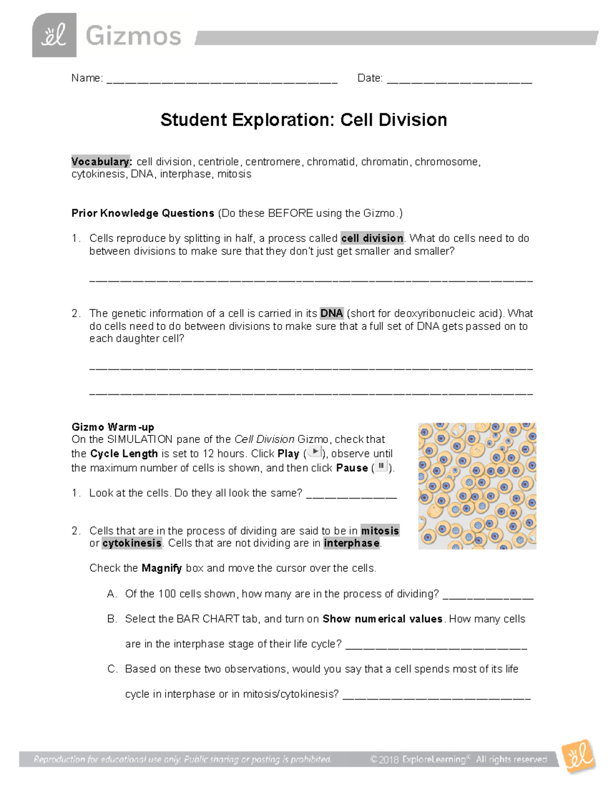 Cell Division SE - Name: ______________________________________ Date