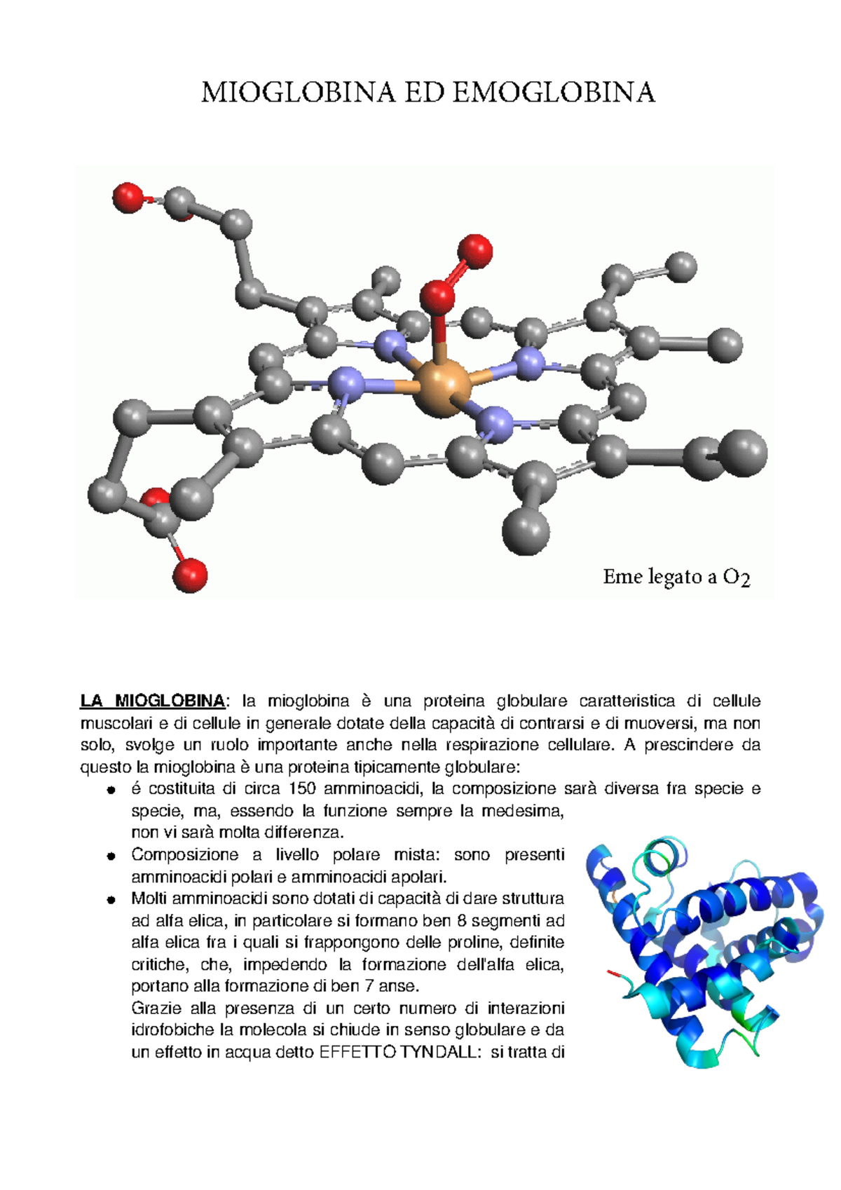 Appunti - Biochimica -Mioglobina ed emoglobina: parte seconda - a.a ...